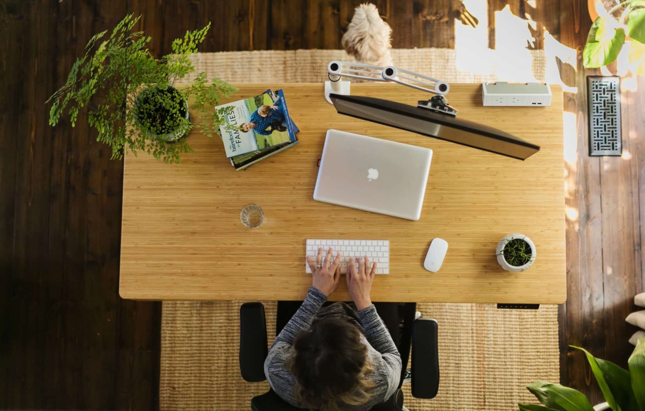 UpDown PRO+ Standing Desk Review: What We Didn't Like